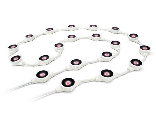 Color Kinetics Official Website | Homepage